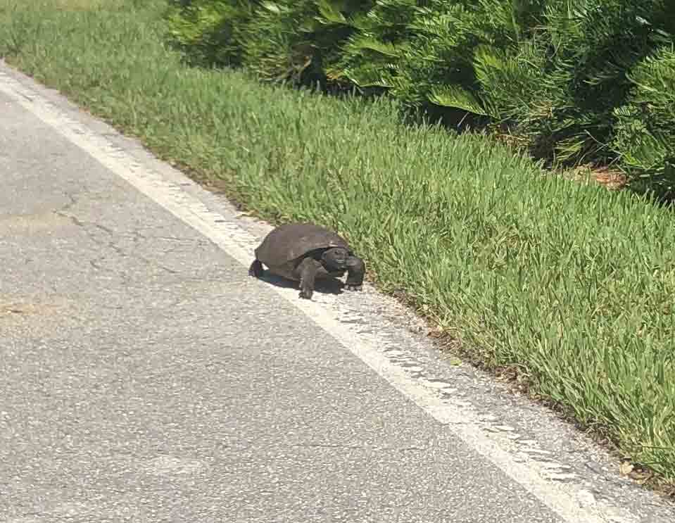 Southwest Florida’s Hidden Gems | Florida Bicycle Association