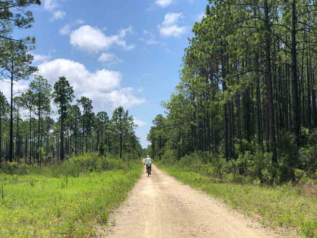 Cycling Our Parks | Florida Bicycle Association